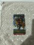 Knight of Wands Tarot Card Meaning and Interpretation - Tarot Institute